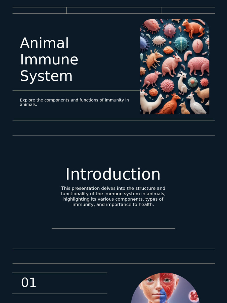 Animal Immune System Overview | PDF | Immune System | Innate Immune System