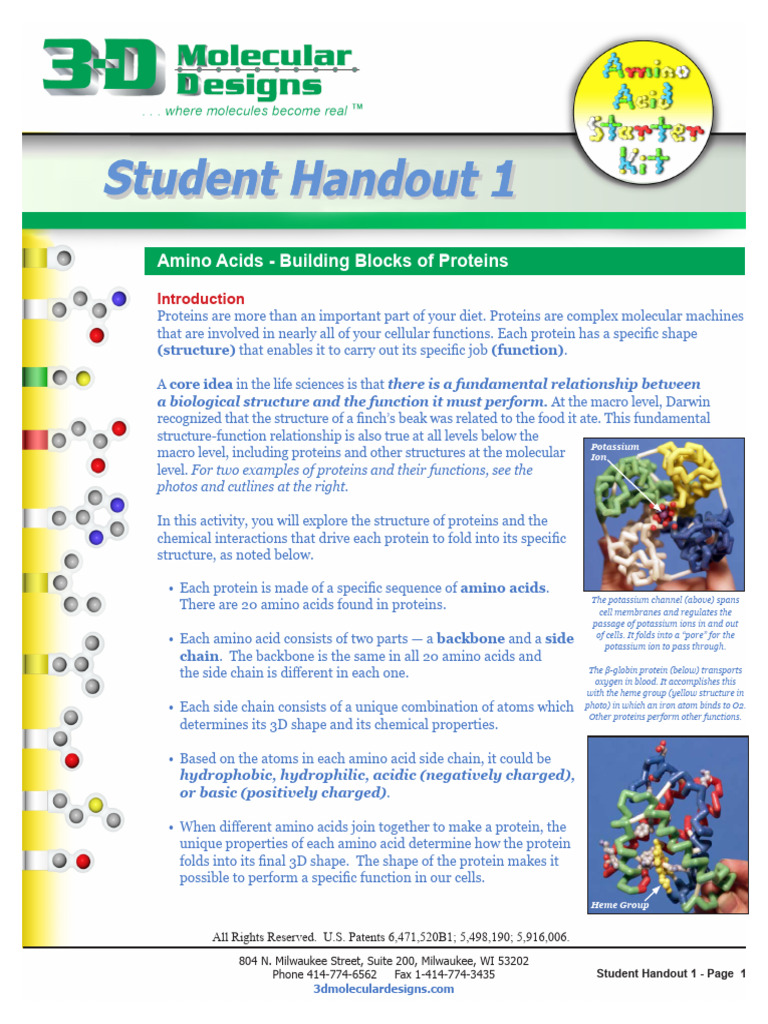 Amino Acids-Primary To Tertiary Structure 1 Meter MT | PDF | Proteins ...
