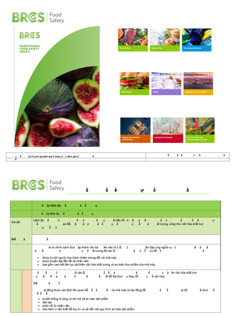 Bảng dịch tiêu chuẩn BRC V9 | PDF
