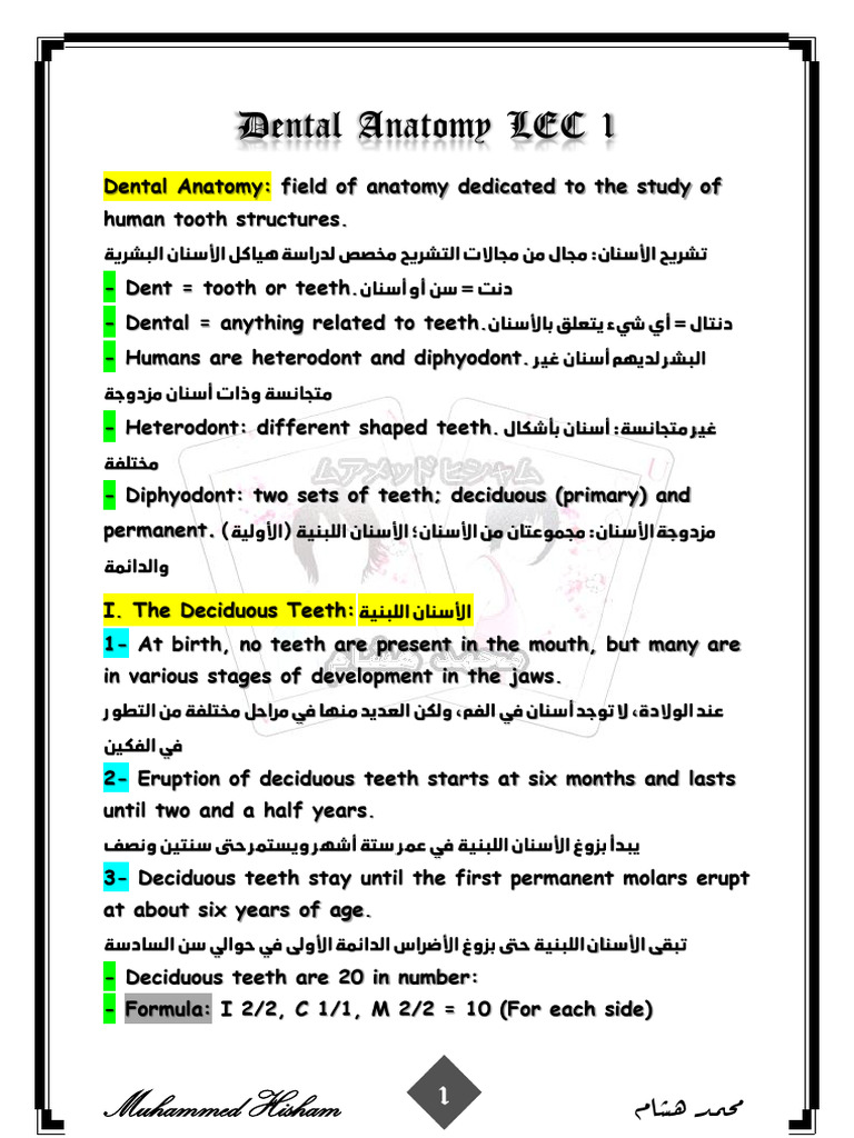 The First Three Lectures of Dental Anatomy Translated and Summarized ...