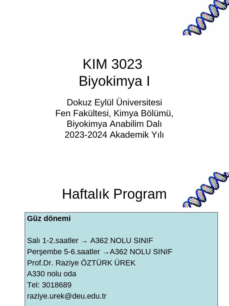 KIM 3023 Giris | PDF