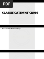 Agri601 50 Scientific Names of Crops. | PDF | Food Ingredients | Crops