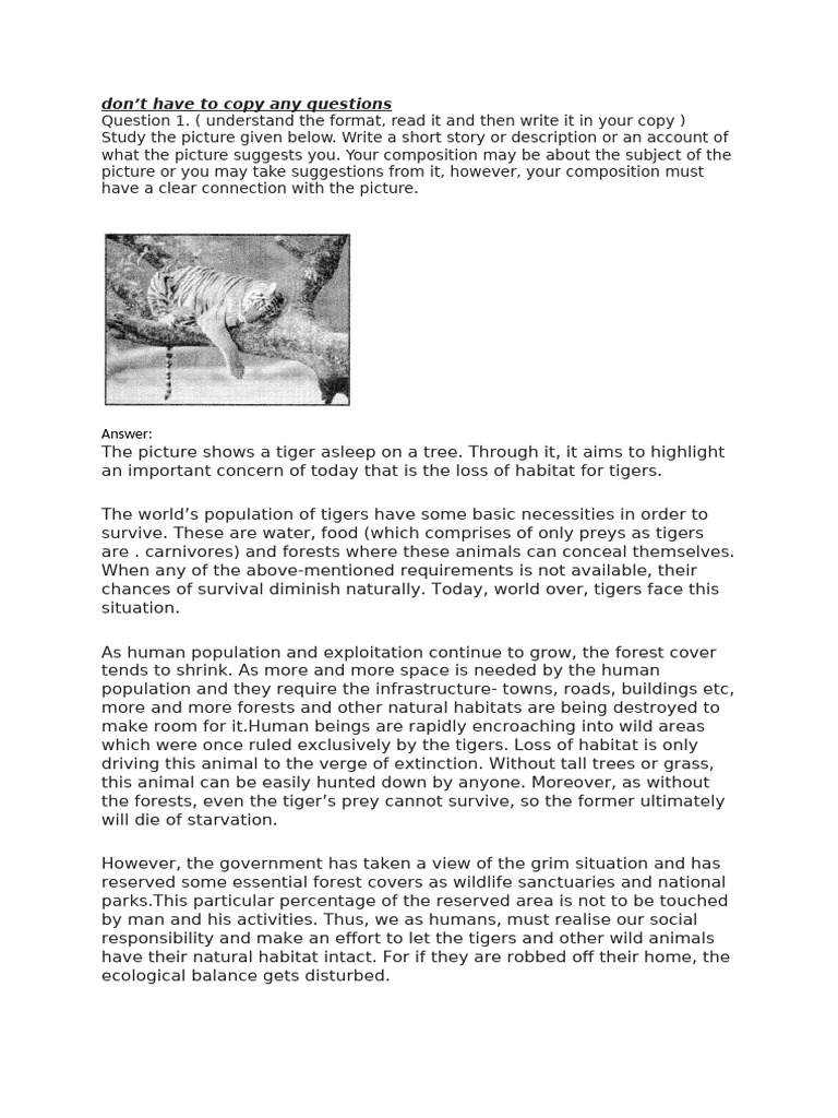 Amity University Online Admission Application Form | PDF | Tiger | Forests