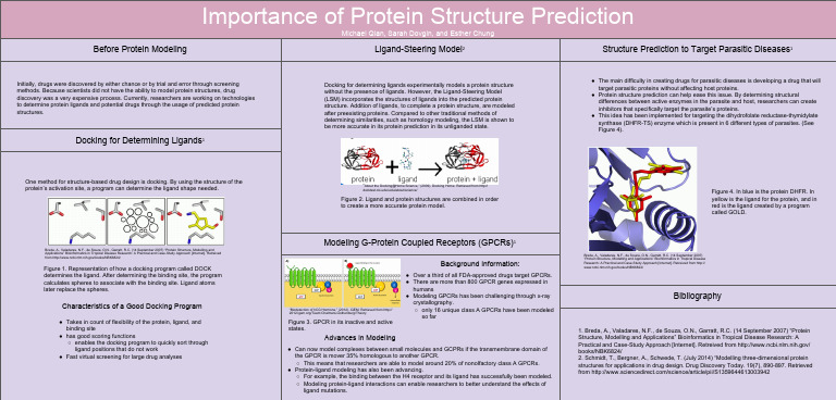 Poster 7 - Importance of Protein Structure Prediction | PDF | Docking ...