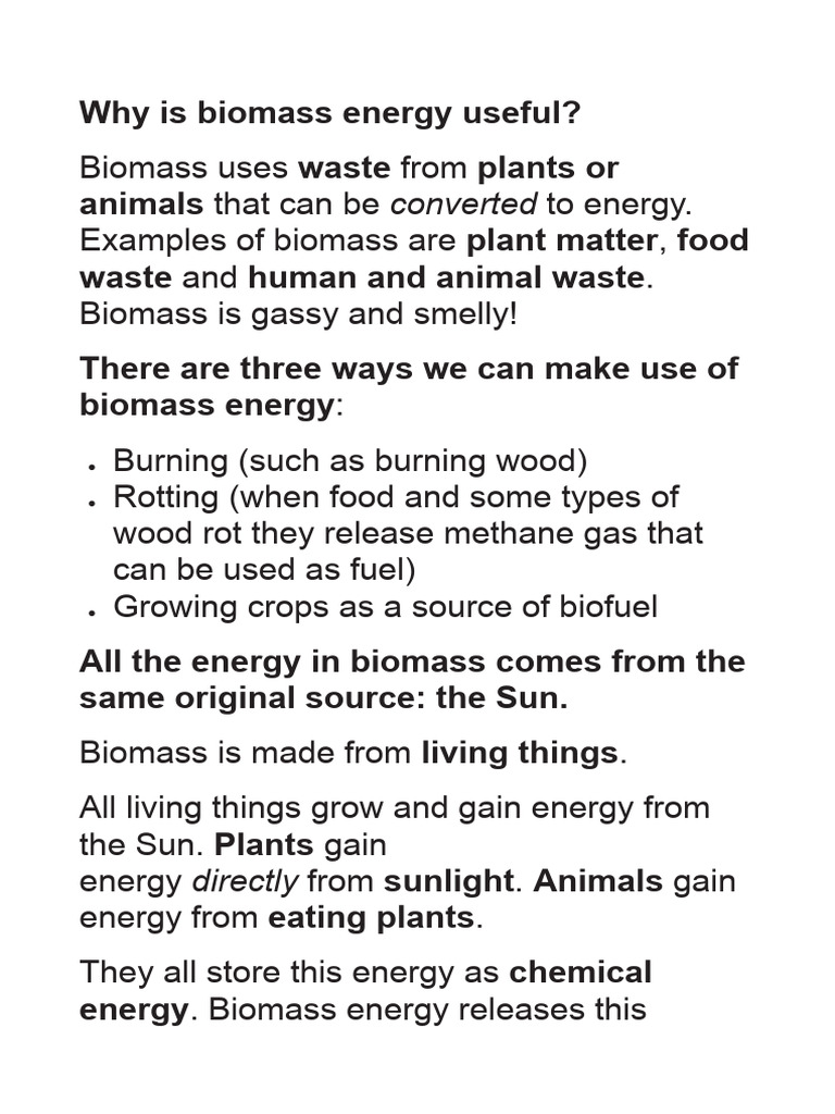 Why is biomass energy useful.docx (1) | PDF | Biofuel | Fuels