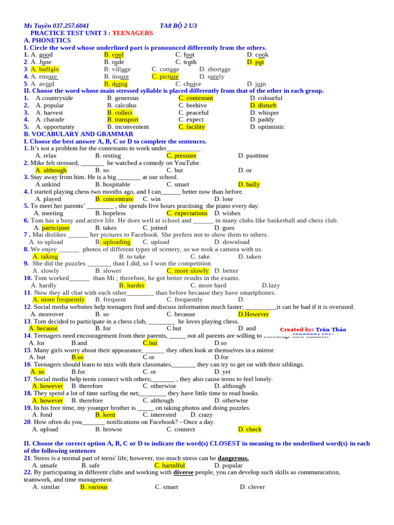 Teenagers' English Practice Test | PDF | Adolescence | Facebook