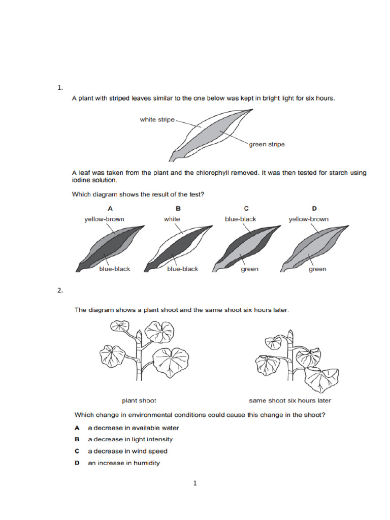 Worksheet - Plant Nutrition | PDF