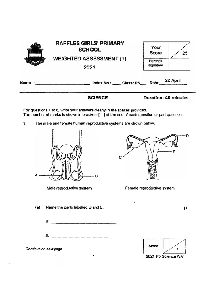 P5 Science Raffles 2021 WA1 Exam Papers | PDF