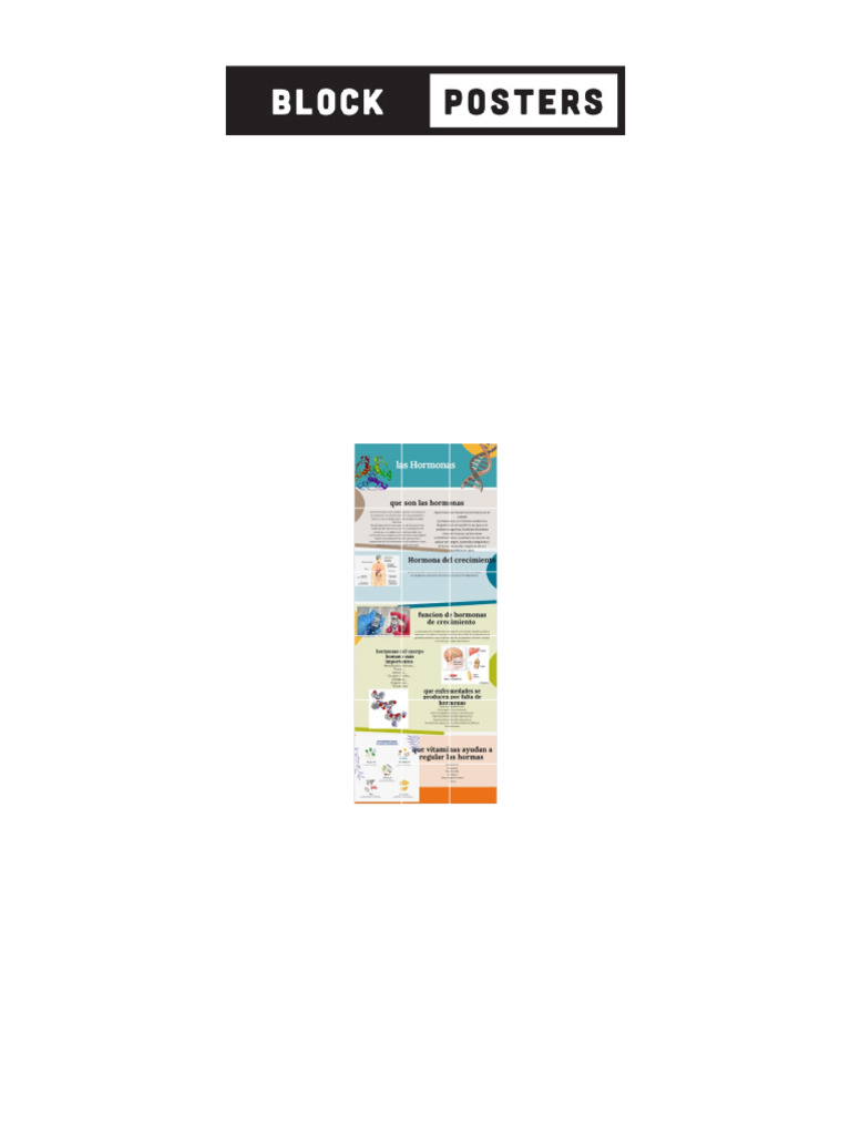 blockposter-040146 | PDF