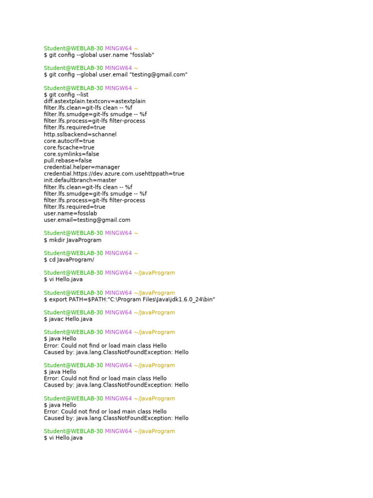 Java Git Setup and Error Debugging | PDF | Version Control | Computer ...
