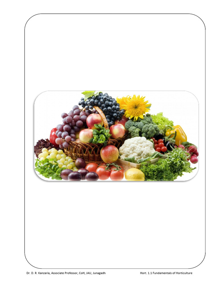 HORT 1.1 Theory Note | PDF | Vegetables | Seed