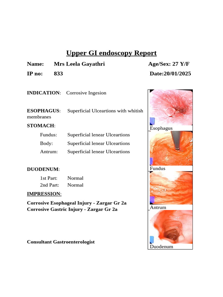 Leela Endoscopy (2)[1] | PDF