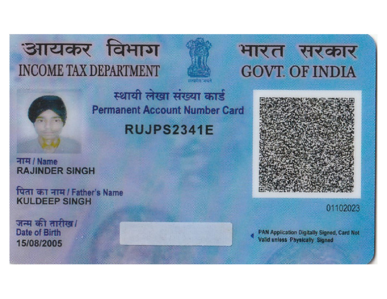 Rajinder Pan Card | PDF