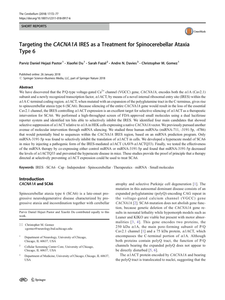 Cerebellum 18 Targeting The CACNA1A IRES As A Treatment For SCA6 | PDF | Messenger Rna | Micro Rna