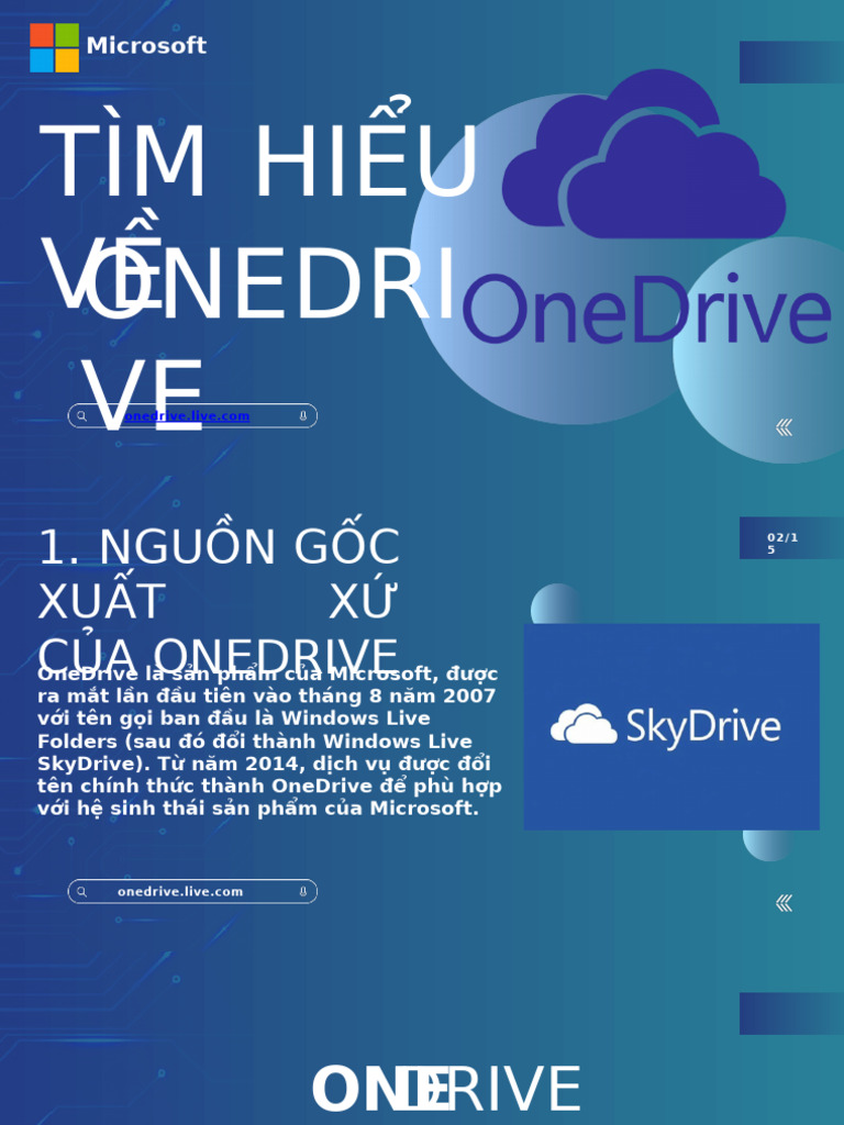 One Drive | PDF