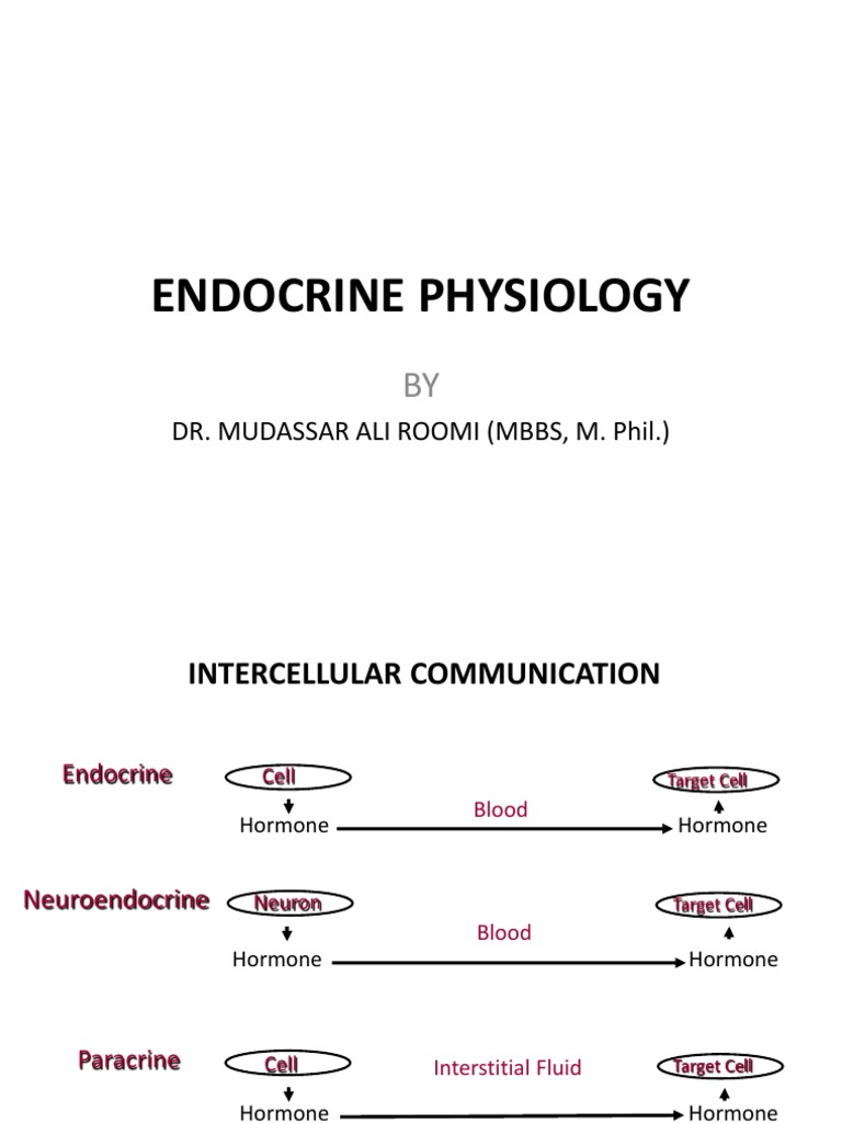 1st Lec On Endo Physiology by DR Roomi | PDF | Hormone | Epinephrine