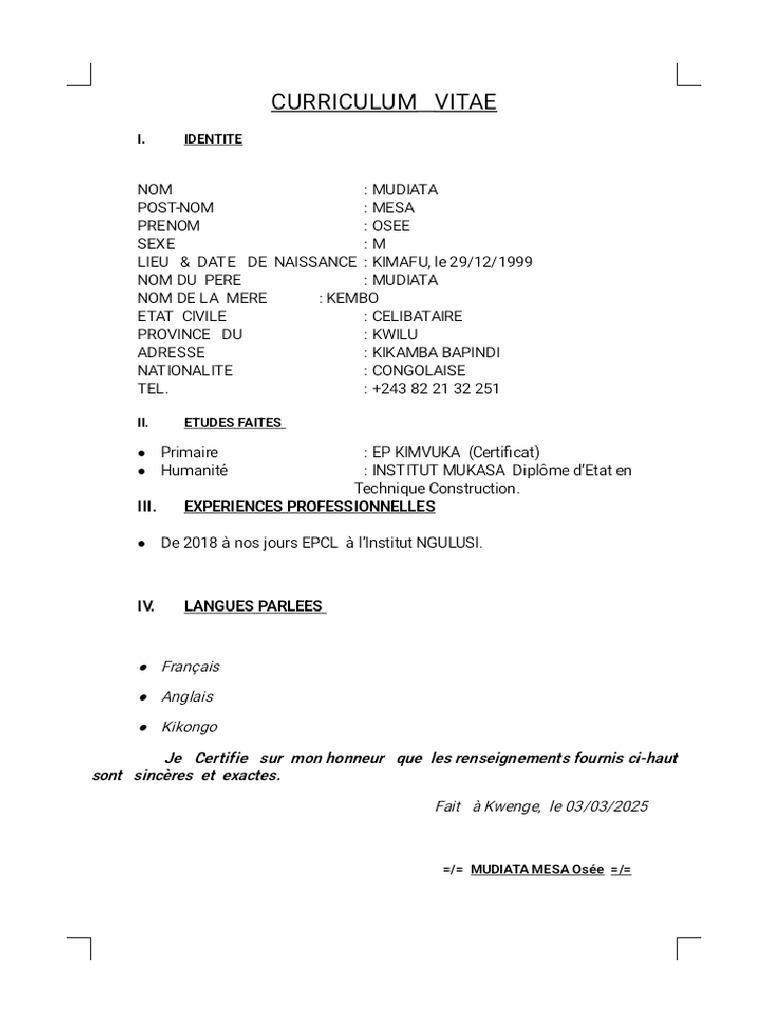 CURRICULUM VITAE MUDIATA - Phoenix | PDF