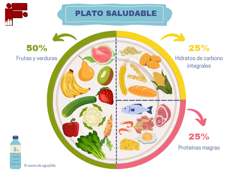Plato Saludable | PDF
