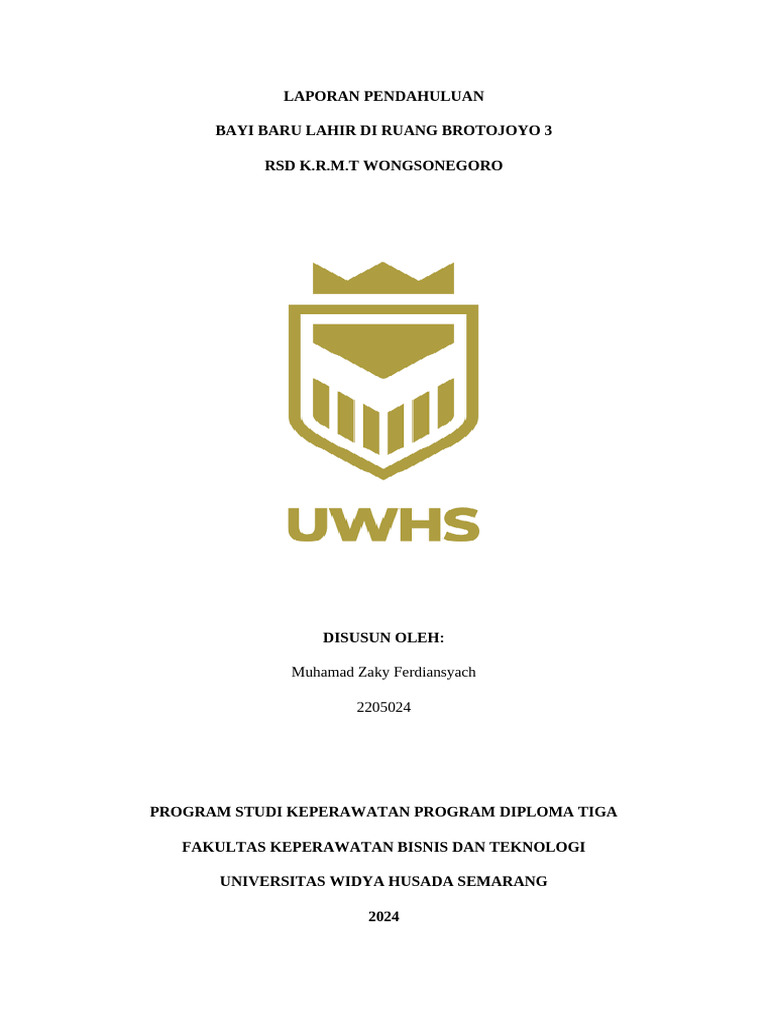 Perawatan Bayi Baru Lahir di RSD K.R.M.T. Wongsonegoro | PDF
