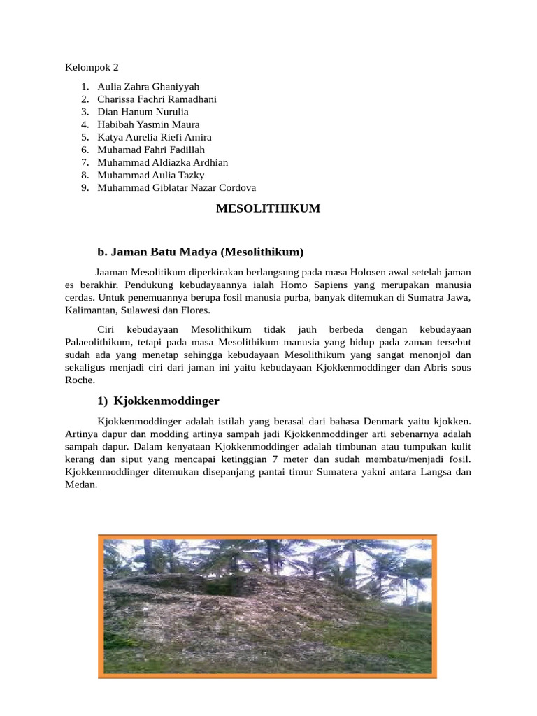 Kebudayaan Mesolithikum di Indonesia | PDF