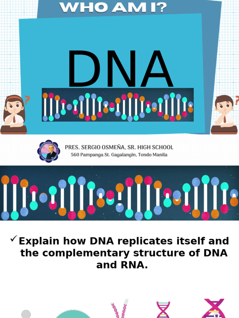 LESSON 5 DNA Structure DNA Replication | PDF | Dna | Nucleic Acids