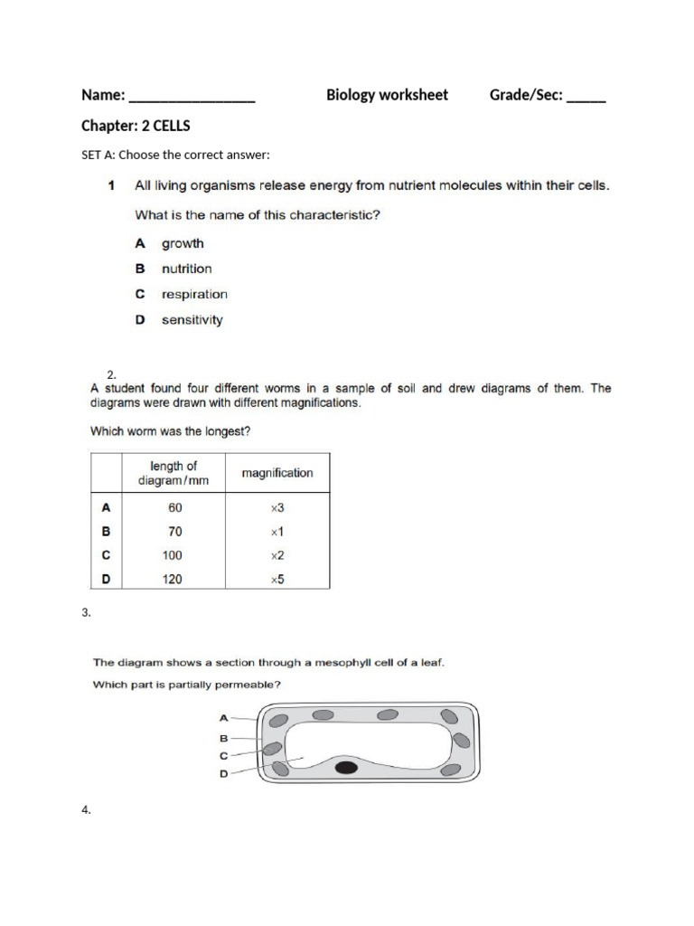 Biology Worksheet G-10 (Chapter-2) - Cells | PDF