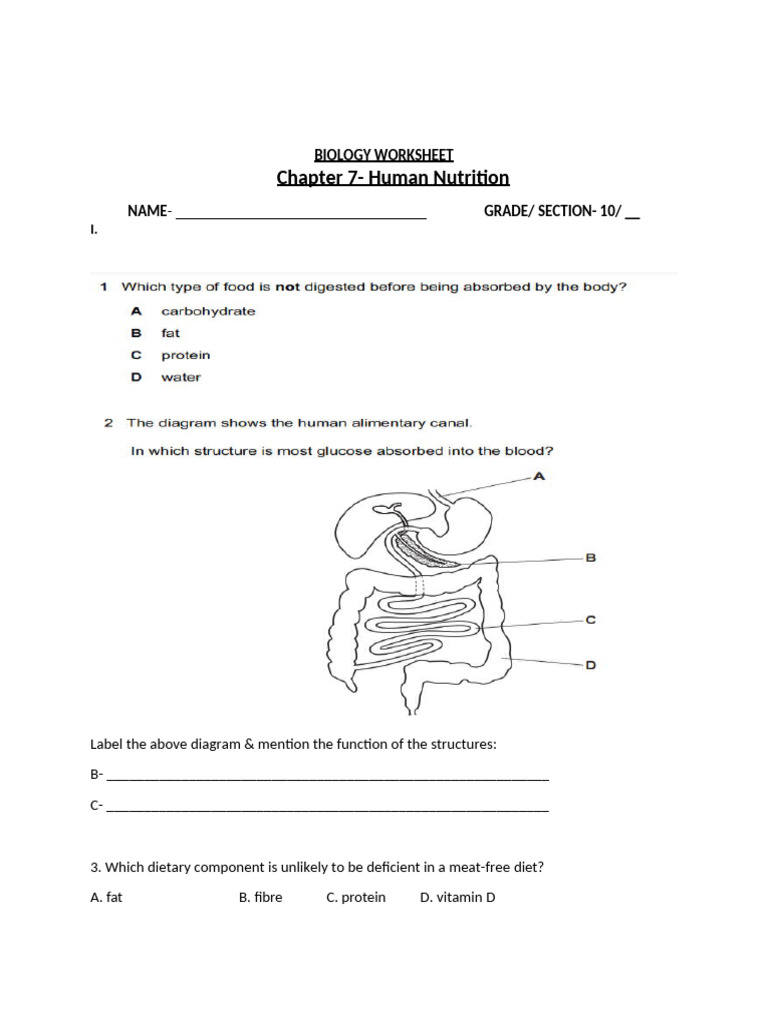 G10 Worksheet CH-7 Human Nutrition (New) | PDF | Digestion | Human ...