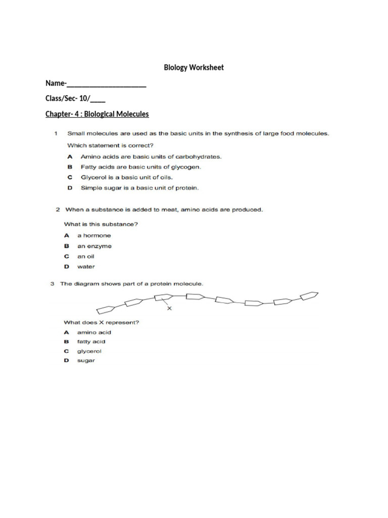 G10 Worksheet - Chapter 4 Biological Molecules | PDF