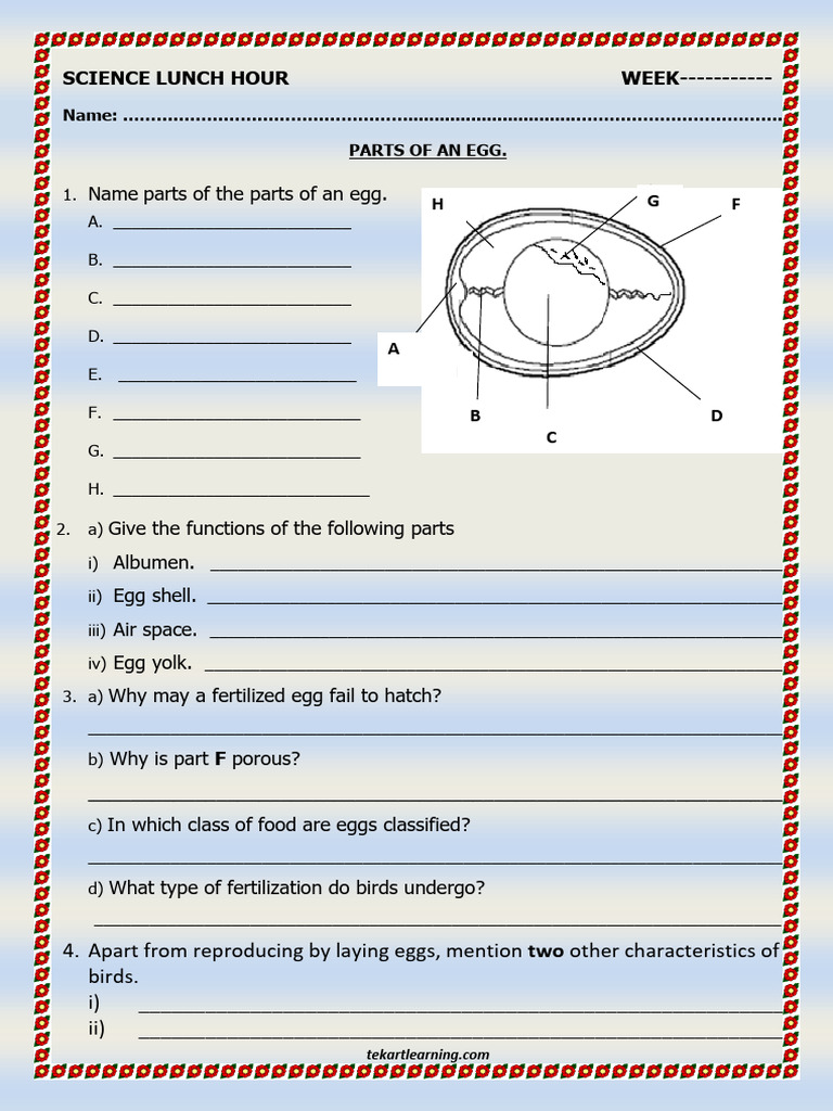 Science Lunch Hour Week | PDF