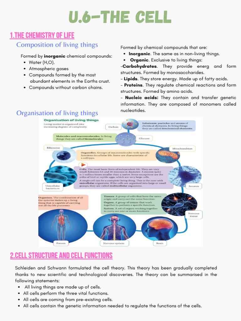 Resumen Tema 6 - The Cell | PDF | Cell (Biology) | Cytoplasm