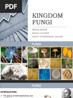 Circulatory System of Frog | PDF | Heart | Atrium (Heart)