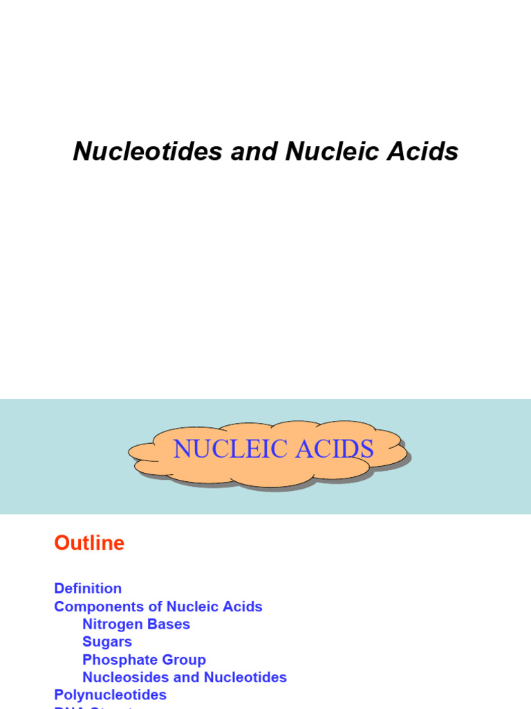 Chapter 8. Nucleotides and Nucleic Acids | PDF | Nucleotides | Rna