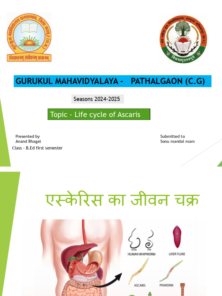 Anand Bhagat 1 Life - Cycle - of - Ascaris - Hindi | PDF