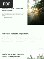 UU200 Group Report | PDF | Mangrove | Coral Reef