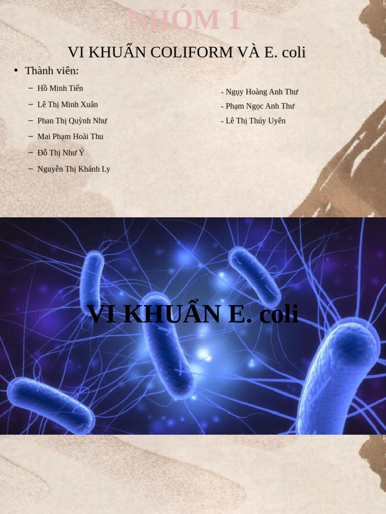 VI KHUẨN E. Coli Và Coliform | PDF