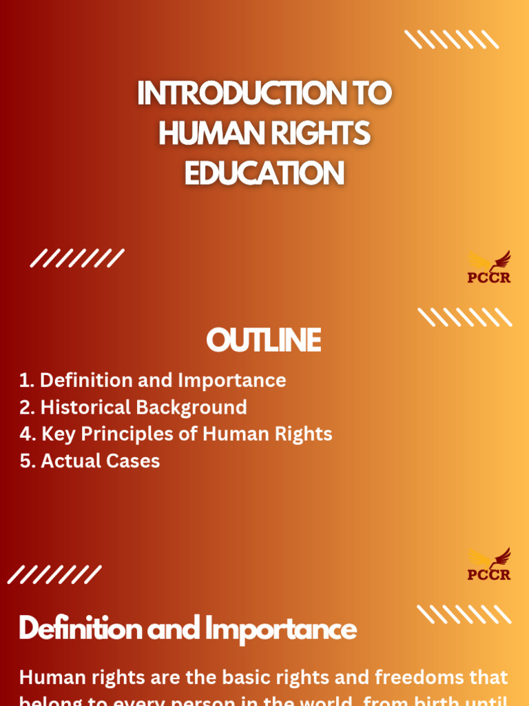 Understanding Human Rights Essentials | PDF | Human Rights | Government ...