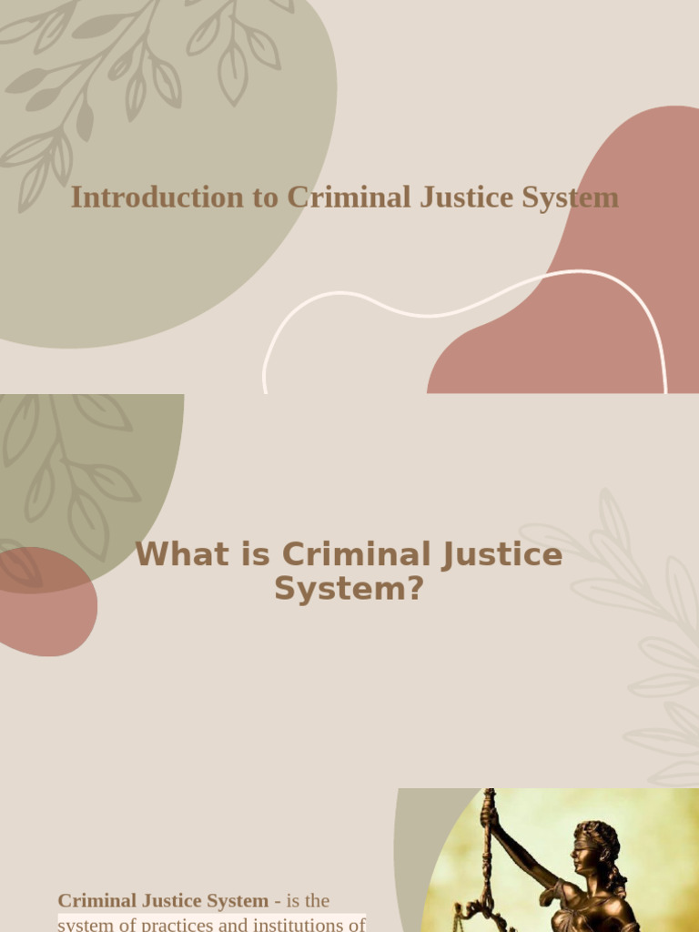 Introduction To Criminal Justice System | PDF | Criminal Justice | Crime & Violence