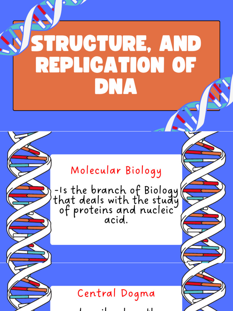 DNA Structure | PDF