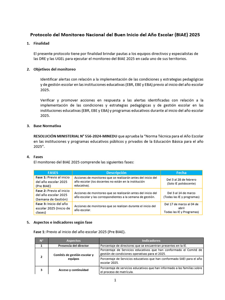 Monitoreo BIAE 2025: Protocolo y Fases | PDF | Educación de la primera ...