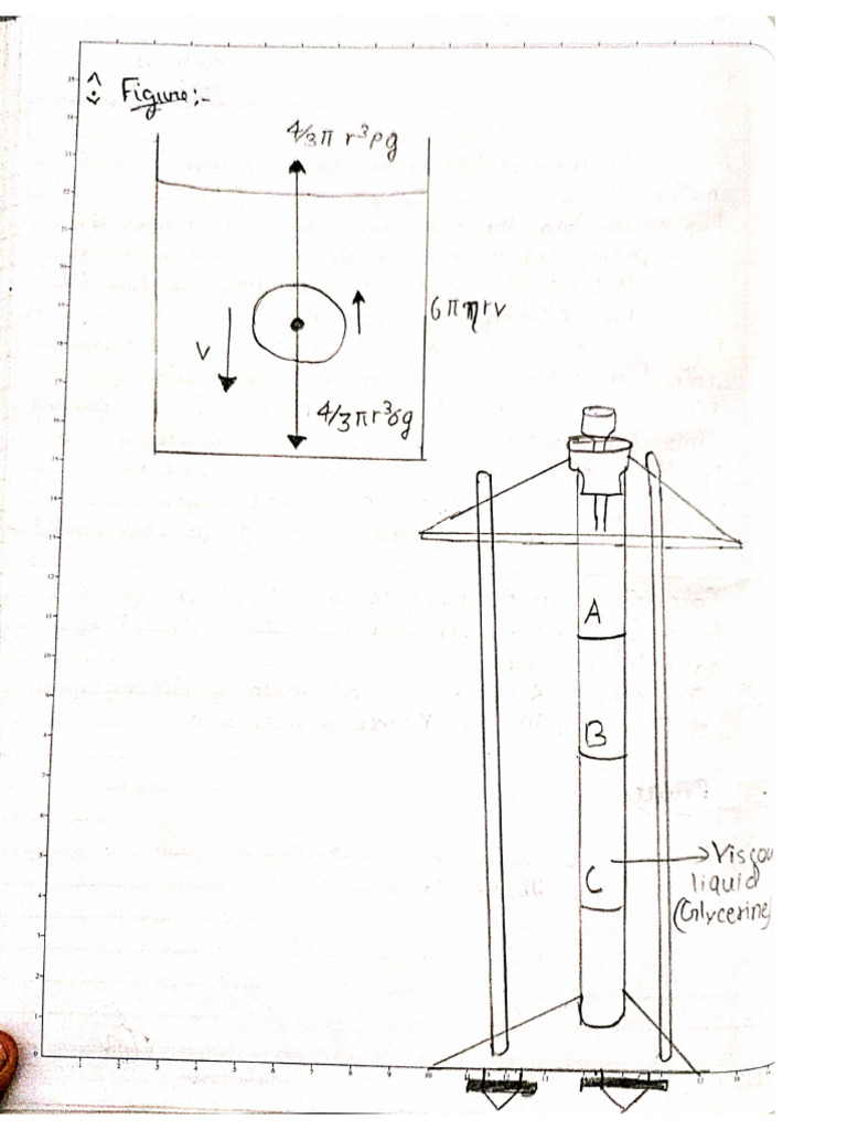 Experimental 8 Viscosity - 1 | PDF