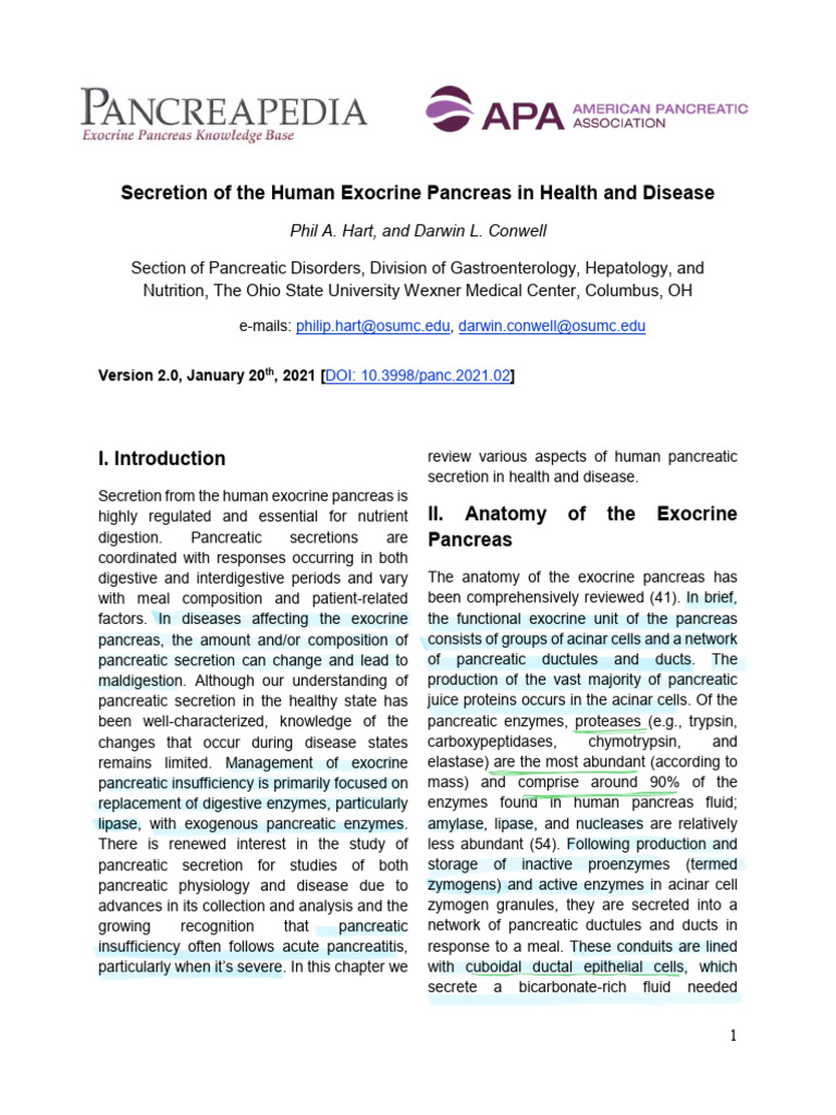 Exocrine Pancreas Secretion Overview | PDF | Pancreas | Digestion