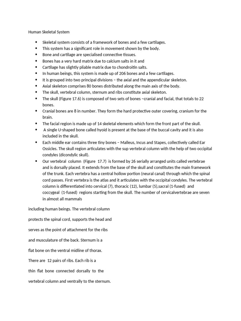 Human Skeletal-WPS Office | PDF | Vertebral Column | Vertebra
