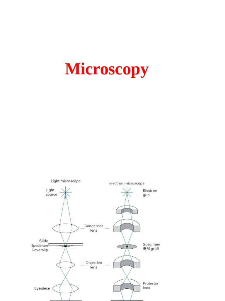 Types and Components of Microscopes | PDF