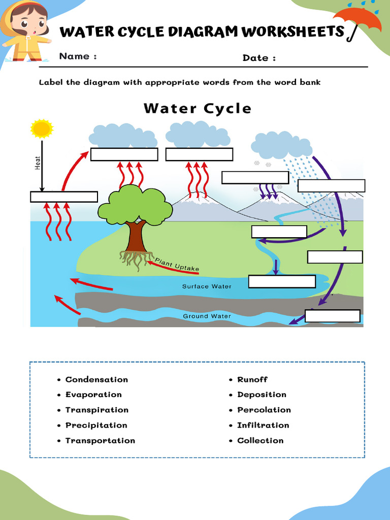 Water-Cycle-Diagram-Worksheet | PDF