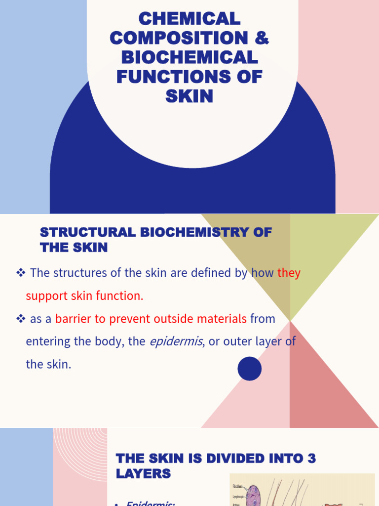 Skin Chemical Composition Overview | PDF | Epidermis | Skin