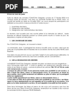 Formulaire Proces Verbal Du Conseil de Famille | PDF