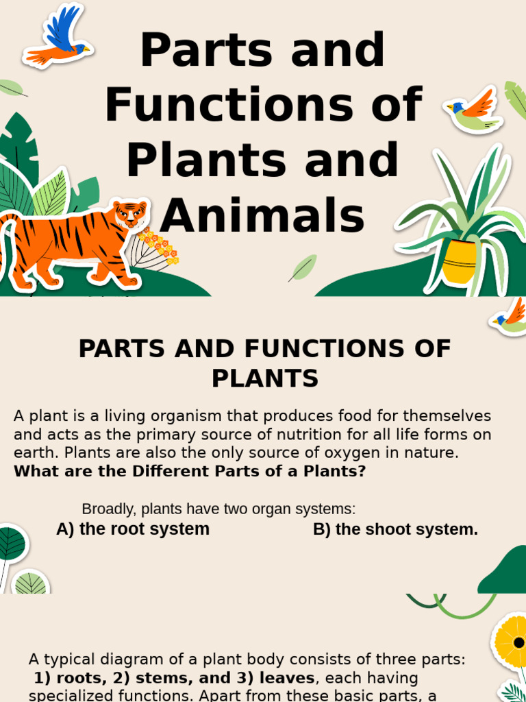 Plants and Animals Science Pre K by Slidesgo | PDF | Flowers | Plants