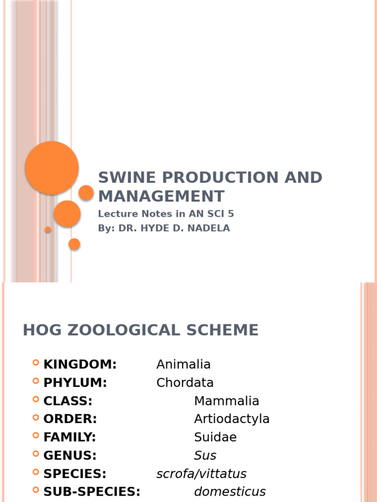 Swine Production Cycle Overview | PDF | Pig | Wild Boar