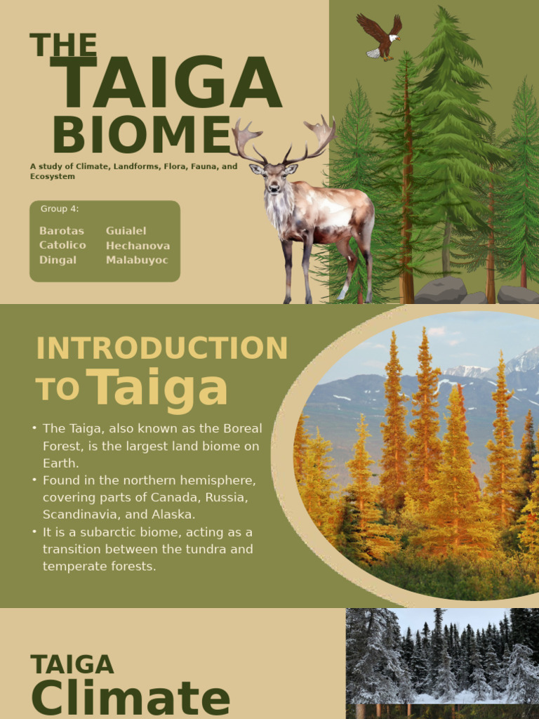 NGSS The Biomes Educational Presentation in Gray and Yellow ...