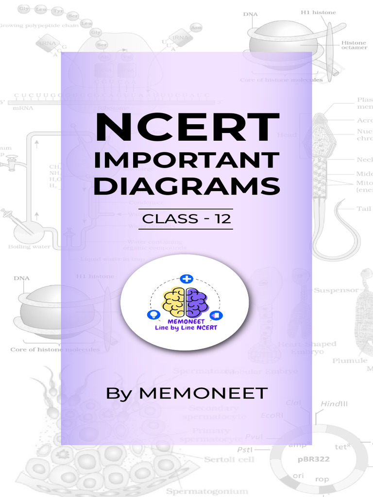 Important Biology Diagrams Class 12 | PDF | Menstrual Cycle | Dna